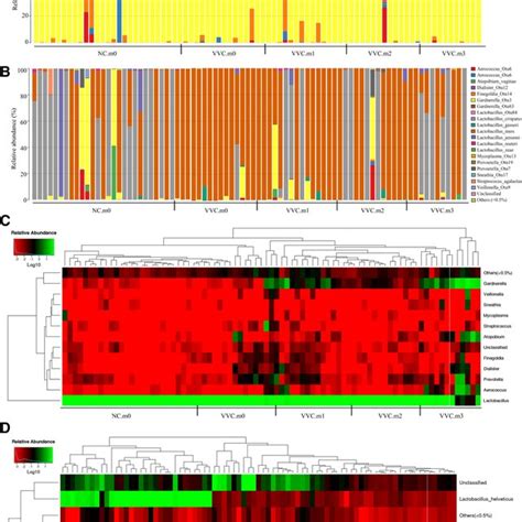 Vaginal Microbiota Composition Of Women In Various Groups A At The Download Scientific