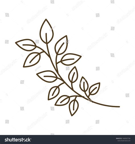 Tree Branch Leaves Isolated Icon Stock Vector Royalty Free 1360567736 Shutterstock
