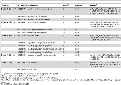 Functional Annotation Clusters Of Enriched Go Biological Processes