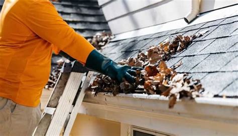 Essential Tips For Cleaning Gutters Effectively