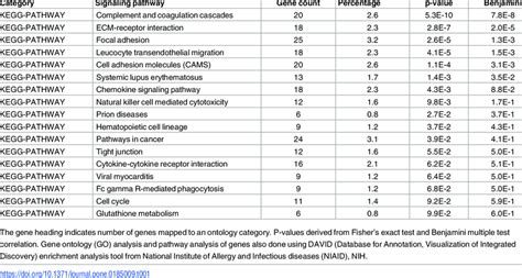 Functional Annotation Charts Showing Differentially Expressed Pathways