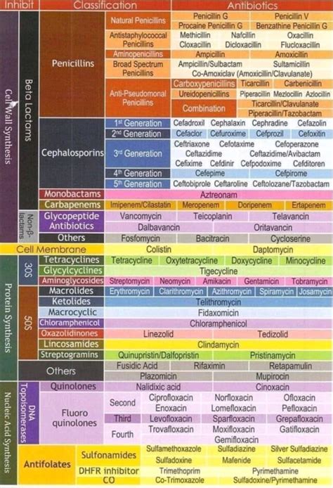 Blessed Mariam On Linkedin Antibiotic Chart ️ ️