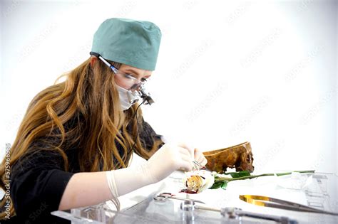 Laboratory Research Study Of Structure Of Living Organism Dissect Rose Cut Sew Up Tissue Female