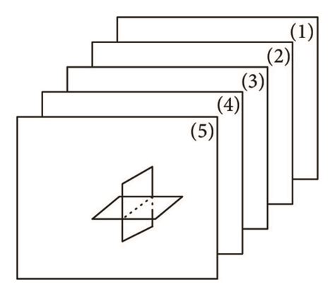 Transverse And Longitudinal Section Of The Five Consecutive Video Images Download Scientific