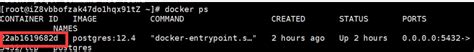 linux centos8 docker中安装postgresql12 4及远程访问设置 阿里云开发者社区