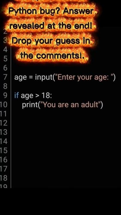 Can You Find The Python Bug 🤔 Answer Revealed At The End 💥