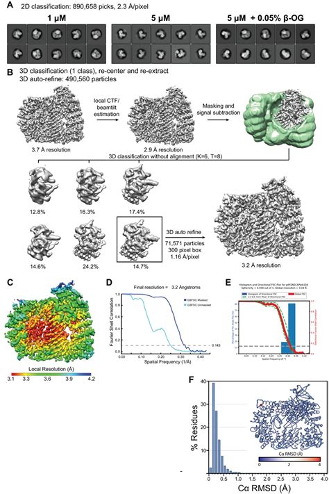 Figures And Data In A Structural Mechanism For Phosphorylation Dependent Inactivation Of The AP2