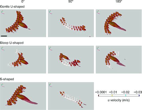 Three Dimensional Isosurface Plots Of Negative Values Of Velocity Download Scientific Diagram