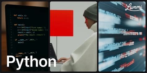 Python Images — Free Hd Download On Lummi