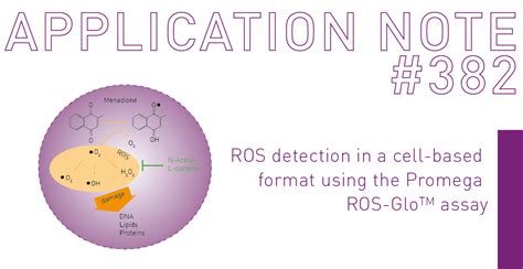 Ros Glo Assay For Cell Based Ros Detection Bmg Labtech