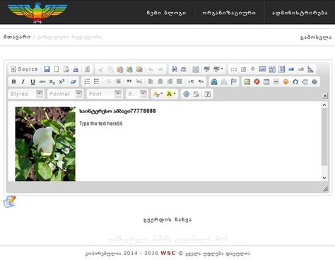 მთავარი ქართული ბლოგი ცისარტყელა
