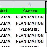 Gender Fields In The Excel Spreadsheet Download Scientific Diagram