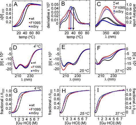 Human Sex Determination At The Edge Of Ambiguity Journal Of Biological Chemistry