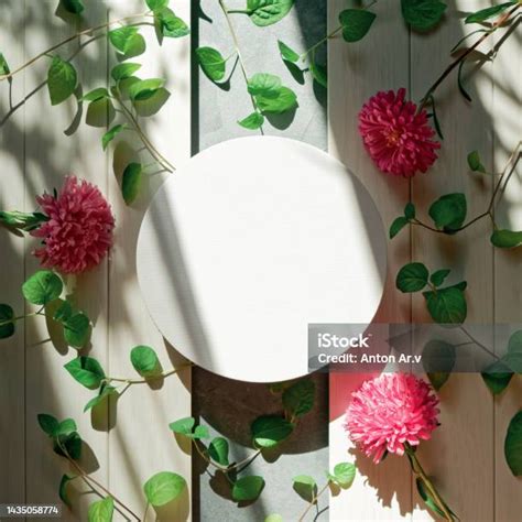 둥근 캔버스 애 스터 꽃과 잎이있는 녹색 가지가 흰색 나무 테이블에 있습니다 소셜 미디어 광고 레이아웃에 대한 추상 꽃 구성 평면도 플랫 레이 공간을 복사합니다 0명에 대한