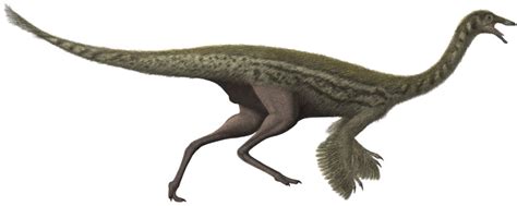 Gallimimus Dinosaur Facts Pictures In Depth Information Active Wild
