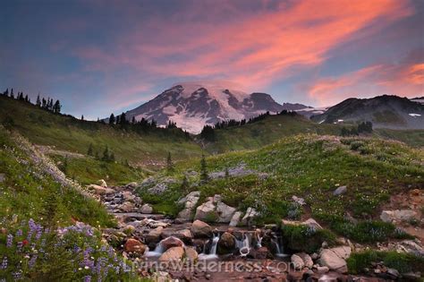 Sunrise Mount Rainier Illuminated By The Sunrise Point To The