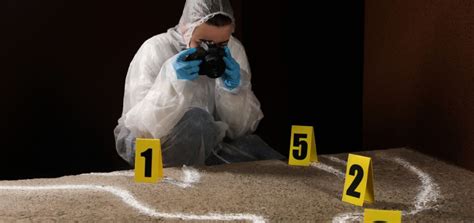 What Is A CSI Or Crime Scene Investigator An Overview