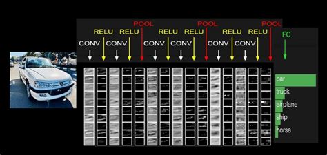 Activations In An Example Of The Distributed Convolutional Neural