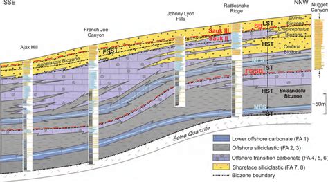 Generalized Sse Nnw Oriented Stratigraphic Cross Section Across The