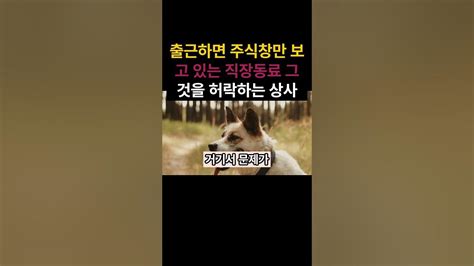 출근하면 주식창만 보고있는 직장동료 그것을 허락하는 상사직장사연 막장사연 사연 Youtube