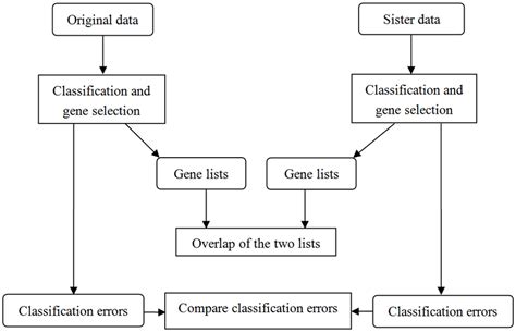 The Flowchart Of The Classification And Gene Selection Experiments On