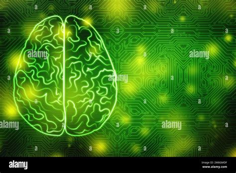 Human Brain 2d Illustration Digital Illustration Of Human Brain