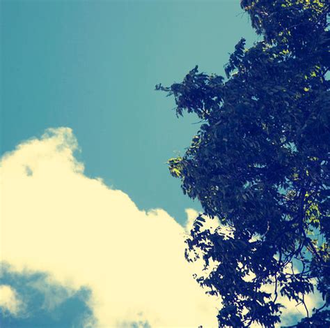 Cloud Chasing By Ttl43 On Deviantart