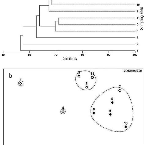 Classification And Ordination Of 11 Sampling Sites Of The Coastal Zone