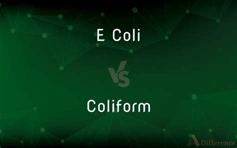 E Coli Vs Coliform — Whats The Difference