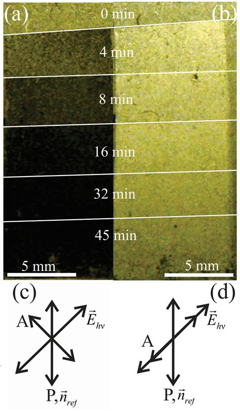 Optical Micrographs Of Combined Cells Filled With Lc E7 At Crossed A Download Scientific