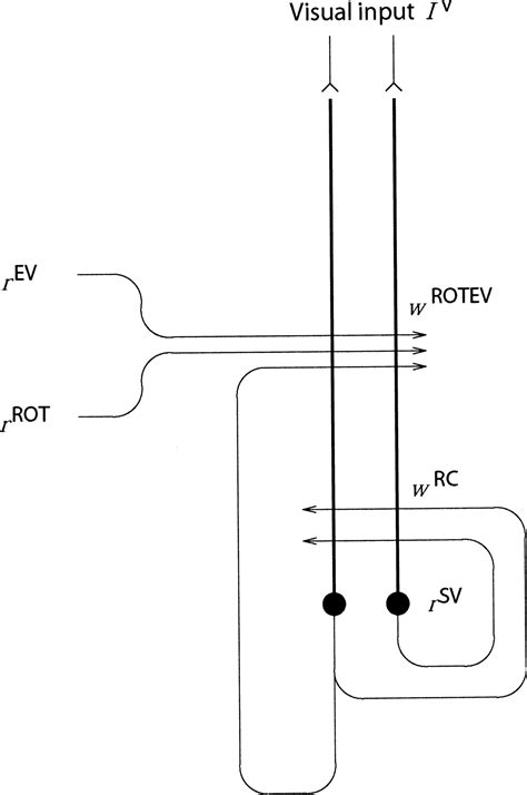 An Attractor Network In The Hippocampus Theory And Neurophysiology