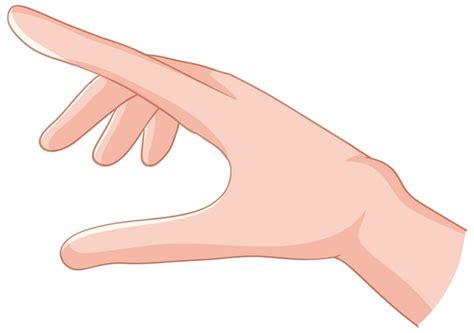 Vectores E Ilustraciones De Mano Animada Png Para Descargar Gratis Freepik