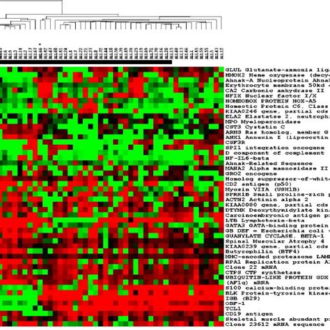 Clustering Analysis Eisen Et Al 1998 Of The 72 Leukemia Samples And