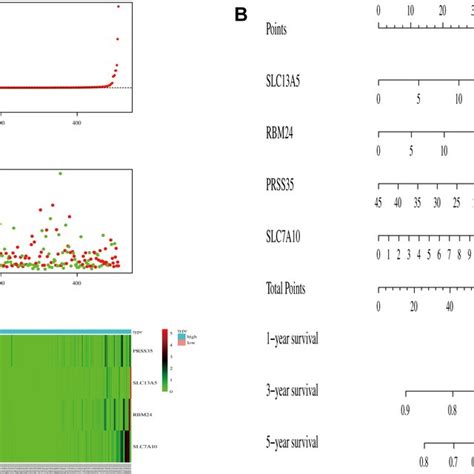 Characteristics Of The Prognostic Prediction Model And Nomogram A