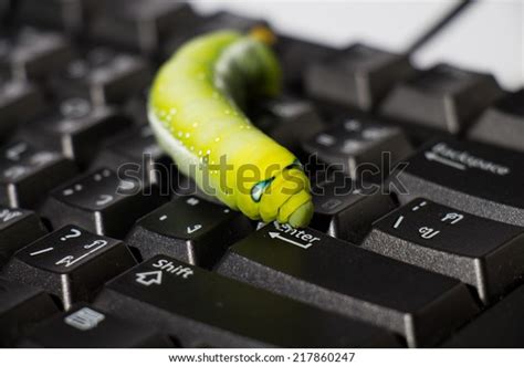 Malicious Computer Worm That Secretly Ruining Stock Photo Edit Now 217860247