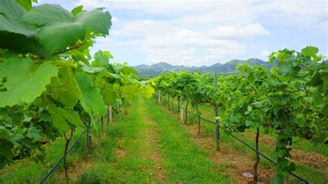 Top Travel Sex Spots The Travel Junkie