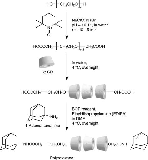 Preparation Of Polyrotaxane From Polyethylene Glycol A Cyclodextrin