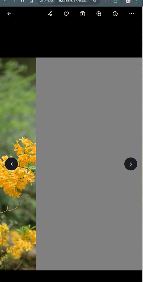 Ai相册识别失败，dial Unix Runtrimappcgiimagesrv Connect Connection Re Bug反馈 飞牛私有云论坛 Fnos
