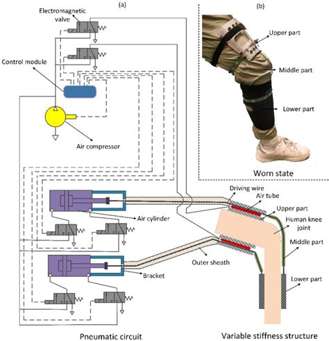 Figure 1 From Friction Prediction And Validation Of A Variable Stiffness Lower Limb Exosuit