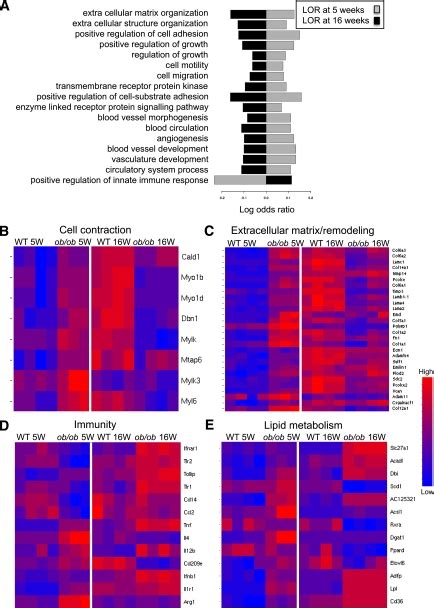 affymetrix microarray profiling of atms transcriptomic analysis of
