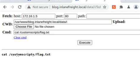 reverse shell and payloads the live engagement page 5 academy