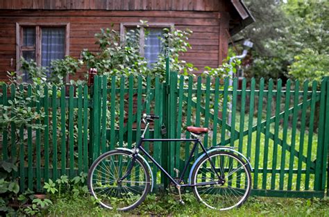 Лунный календарь 2025 лучшие дни для посадок