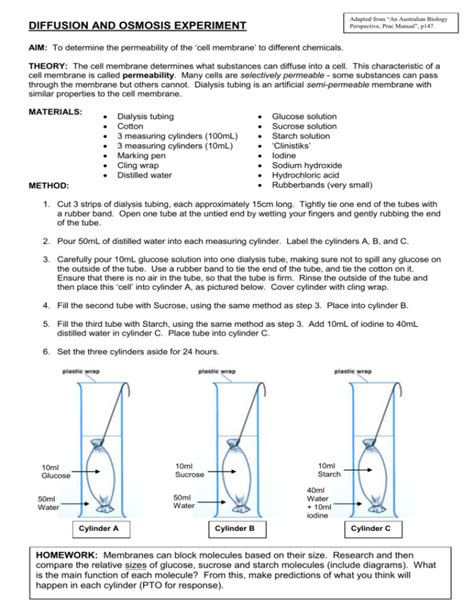 Diffusion And Osmosis Lab Cell Membrane Permeability Experiment