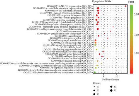 Go And Kegg Functional Enrichment Analyses Of Degs A C The Bubble
