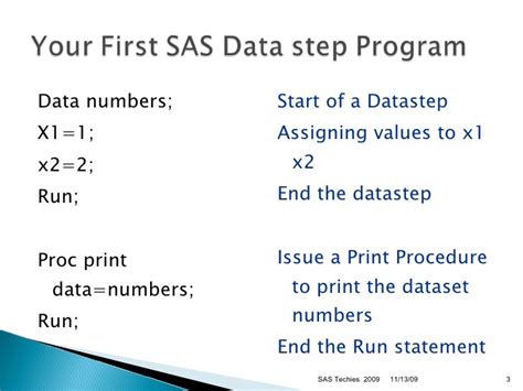 sas programming examples