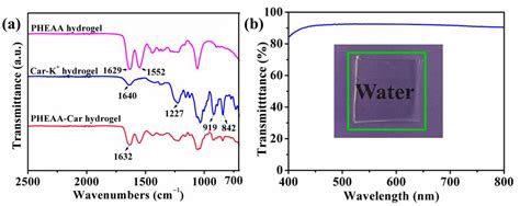 Fully Physically Crosslinked Conductive Hydrogel With