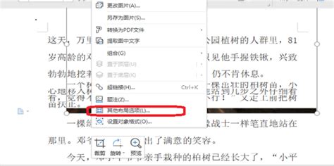 word图片显示不全怎么办，图片显示不全解决方案 360新知