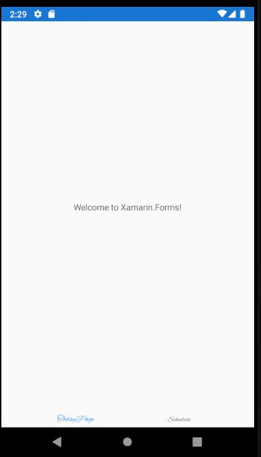 Xamarin Forms 50 Tabbedpage Tab Title Text Customization In Androidx