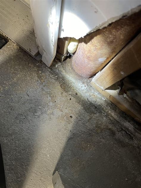 Lally Column R Homemaintenance