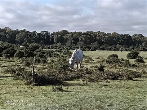 Ulefone Armor T Pro Rugged Phone Review Techradar
